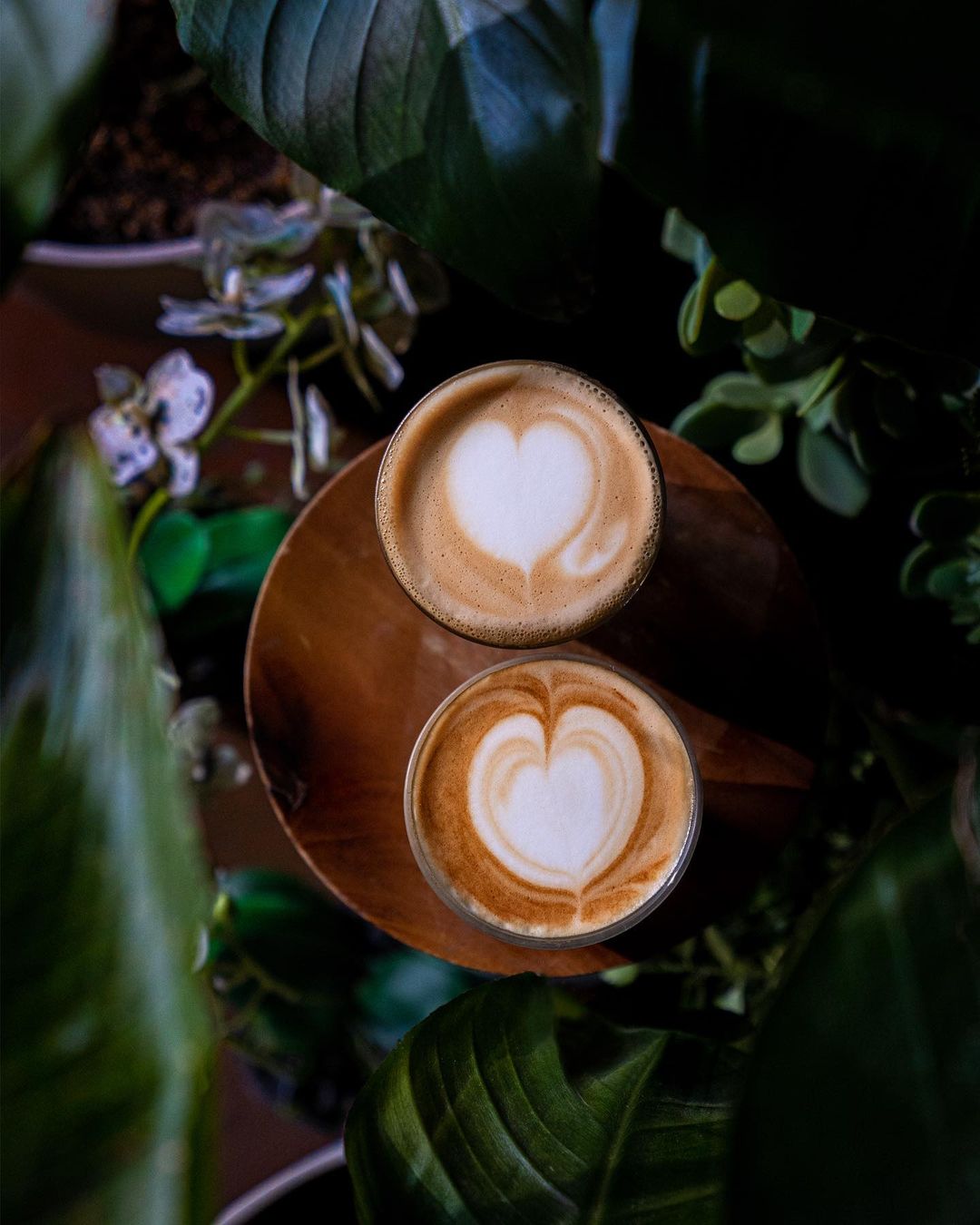 Volume – Volume FNB